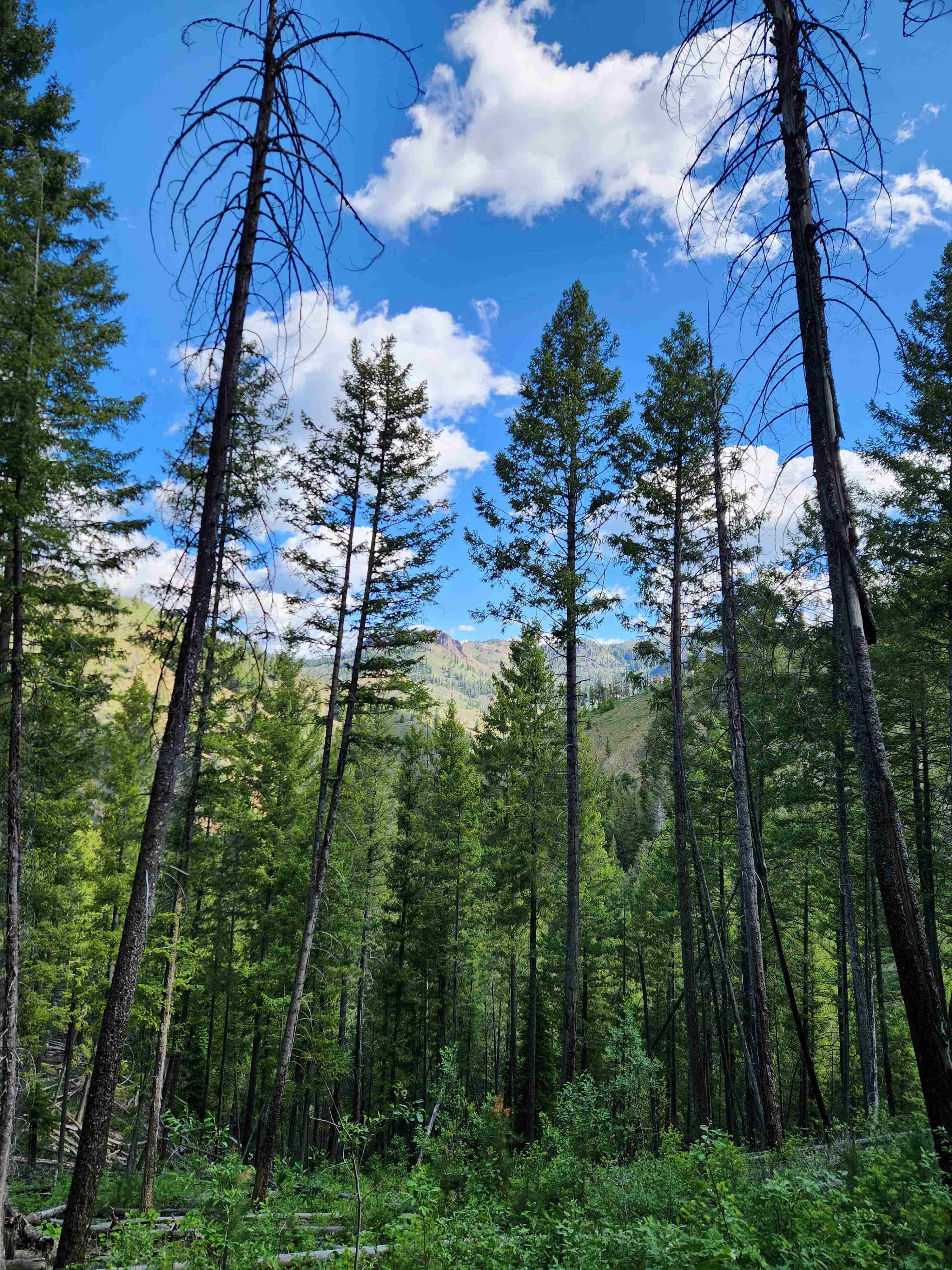 Outdoor Adventures – Broad Sky LLC